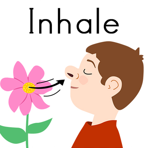 Alphabet Movement Calendar